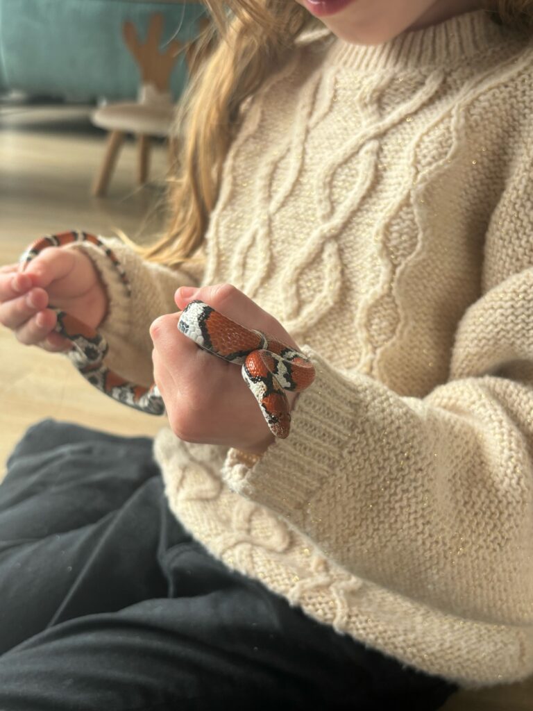 Diensten – Next Gen Reptiles